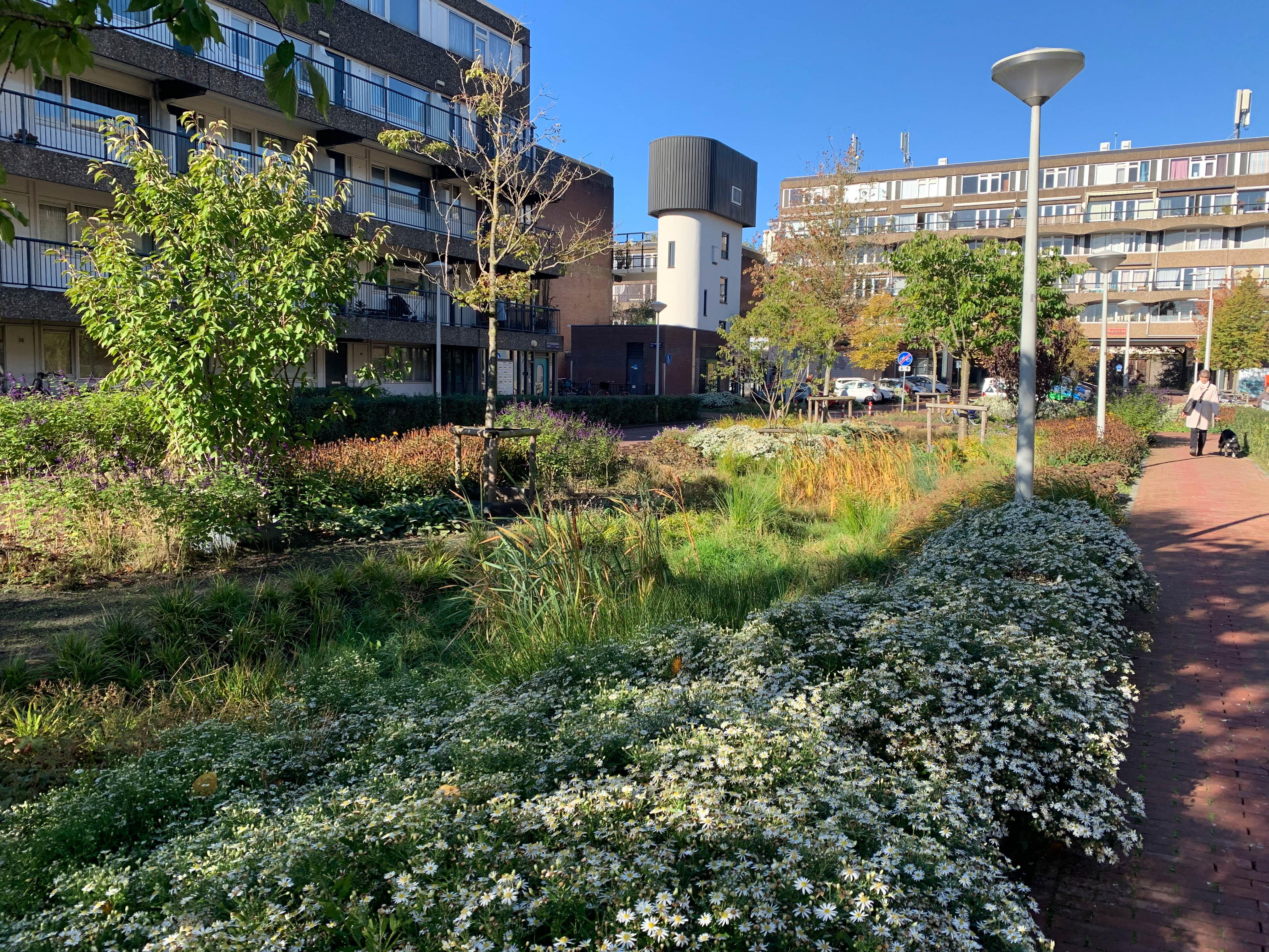 Klimaatatlas Zeeland | Klimaatadaptatie - Haskoning